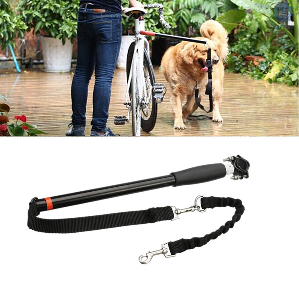 Ready Dog et Leash for Bike Exercise Hands Free Bike Walk Run ...