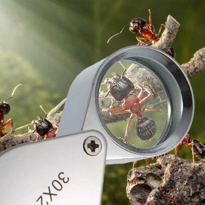 3-Piece Set Of Magnifying Magnifying Glass 30, 40, Double 30/60 ...