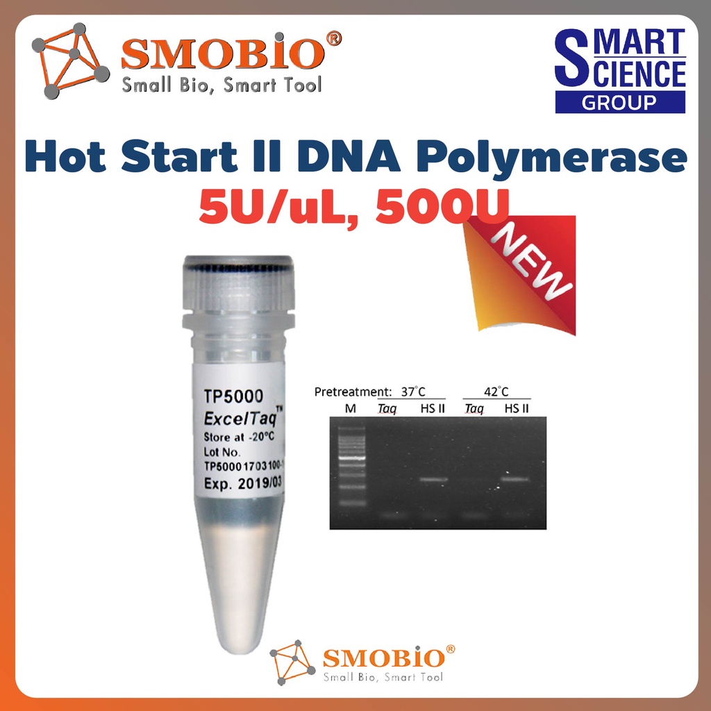 ExcelTaq Hot Start II DNA Polymerase PCR Reaction DNA Amplification aptamer-based inhibitor 5U ...