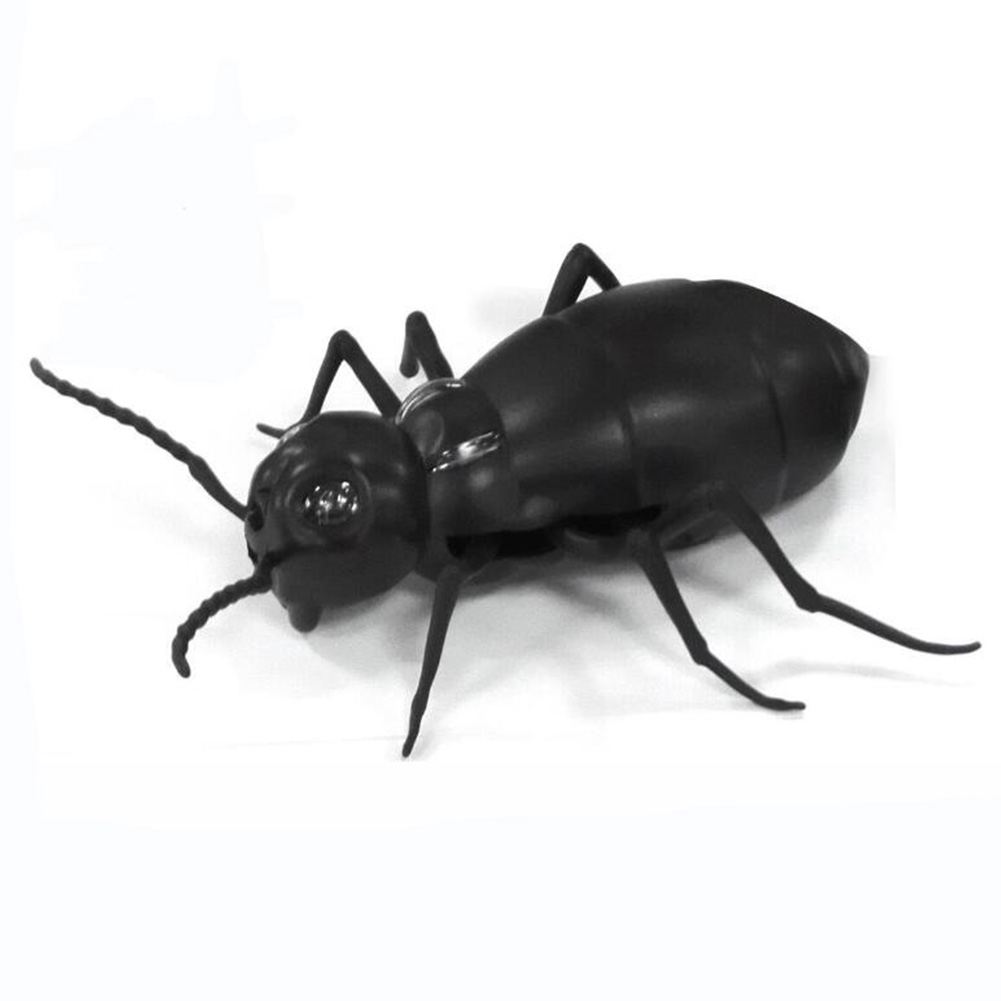 Remote Control Electric Cockroach Insect Bug Car Vehicle Roach Animal ...