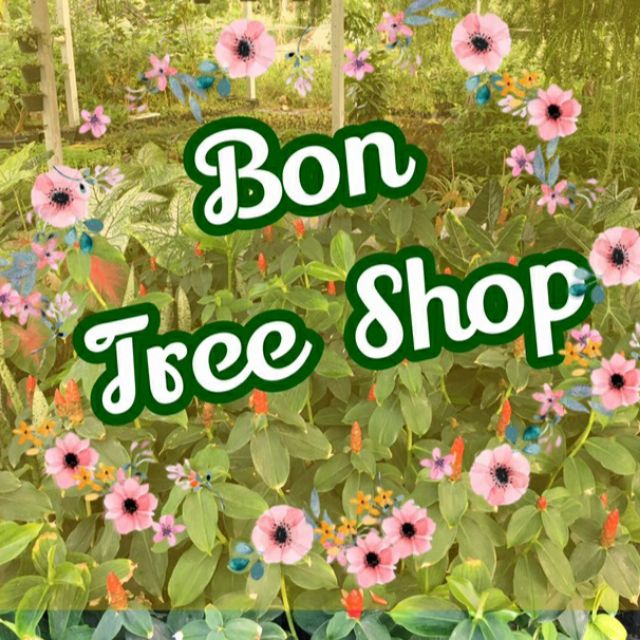 Bon Tree Shop, ร้านค้าออนไลน์ | Shopee Thailand