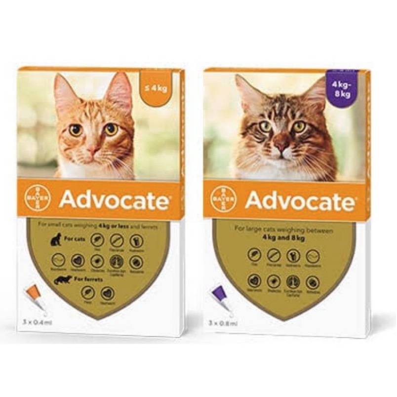 advocate cats 4-8kg(สีม่วง) - prae_pin - ThaiPick