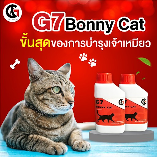 G7 Bonny Cat ขั้นสุดของการบำรุงเจ้าเหมียว - kookkik.wachida - ThaiPick