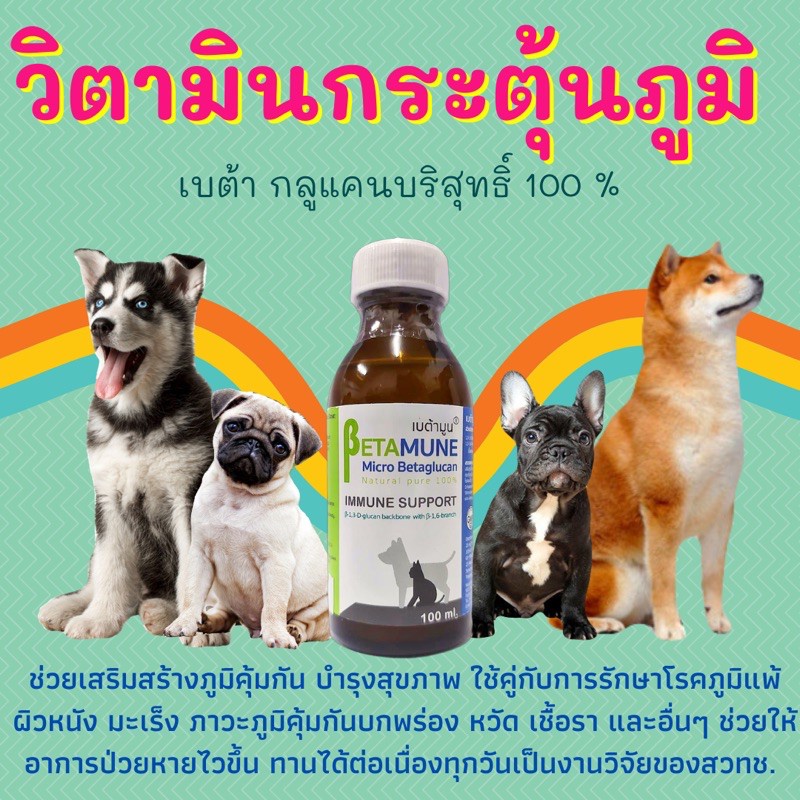 ยาสีฟัน วิตามินกระตุ้นภูมิสุนัขและแมว เบต้ากลูแคน เบต้ามูน Betamune ...