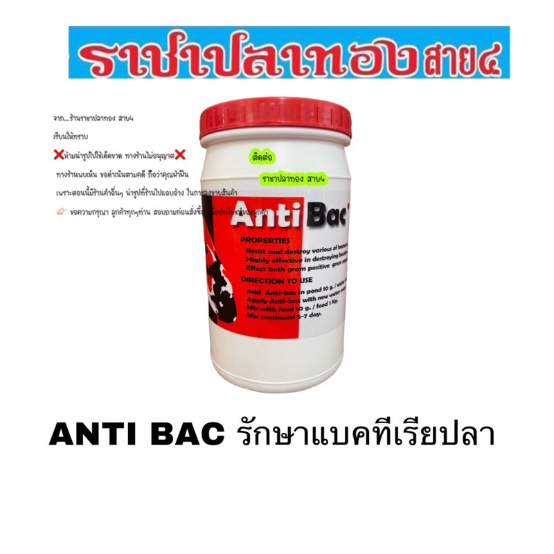 ANTI BAC รักษาแบคทีเรียปลา - rachaplathongsai4 - ThaiPick