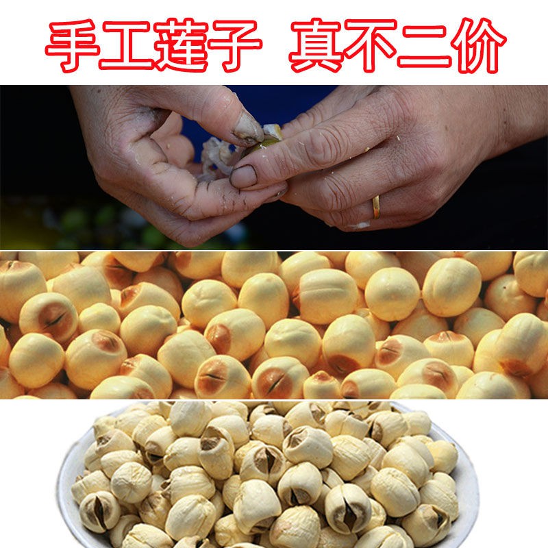 Xiangtan Natural Coreless White Lotus Seed ลอกผ่าน Core White Lotus ...