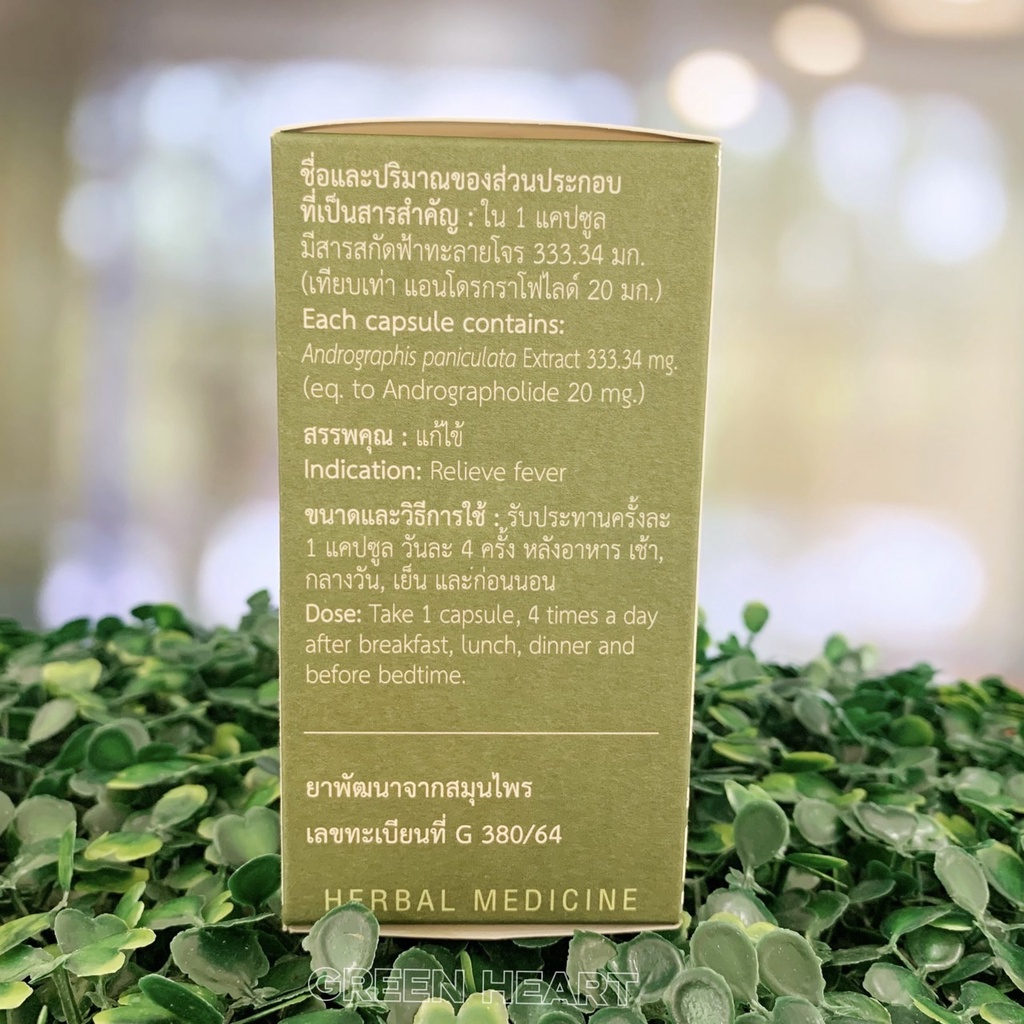 อภัย แอนโดร สารสกัดฟ้าทะลายโจร Abhai Andro Andrographis Extract Capsule (บรรจุ 30 แคปซูล) 1 ...