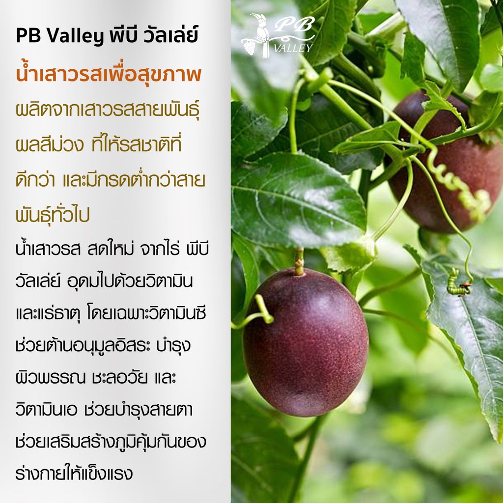 น้ำเสาวรส ขวดเล็ก 12 ขวด PB Valley พีบี วัลเล่ย์ น้ำผลไม้ น้ำเสาวรส ...