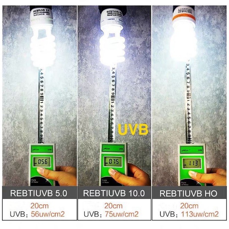 REBTI UVB 26W หลอดไฟ UVB 5.0 10.0 HO 26วัตต์ สำหรับเต่าบก เบียร์ดดรา ...
