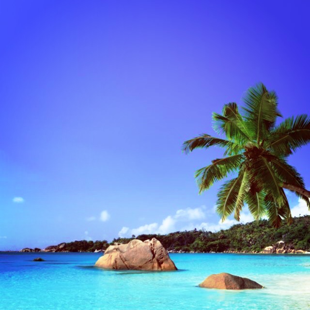 ืีnunnn, ร้านค้าออนไลน์ | Shopee Thailand