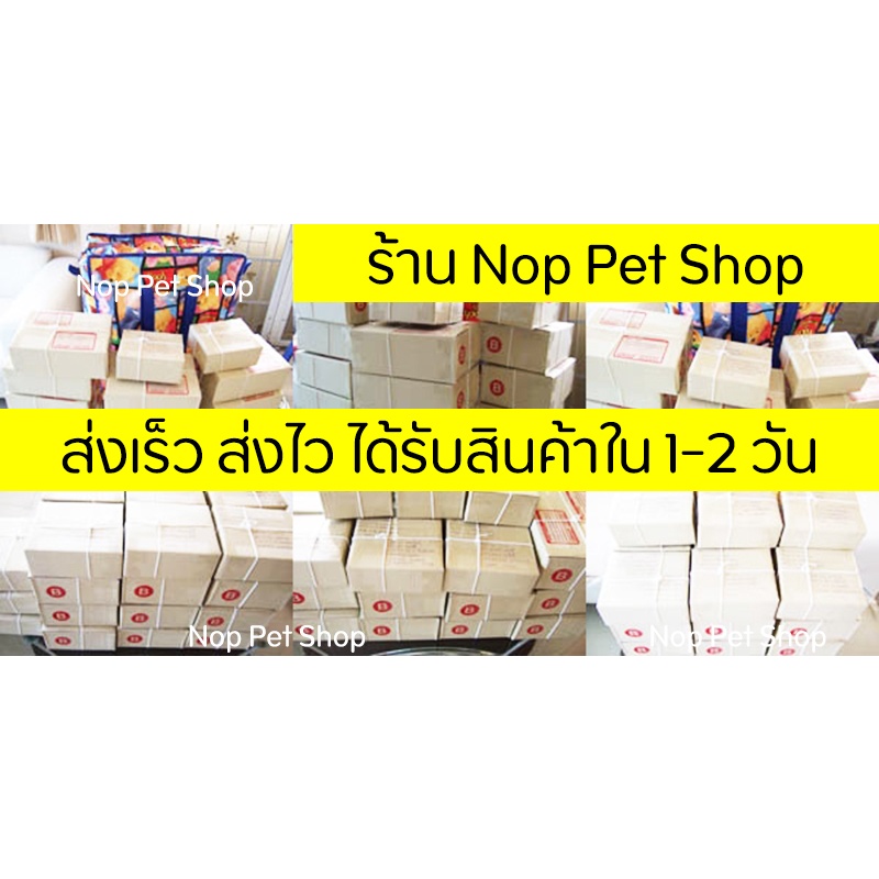 Poly-Oph หยอดตาสำหรับหมา แมว ตาแดง ตาเจ็บ ปริมาณ 5 ml. สินค้าพร้อมส่ง ...