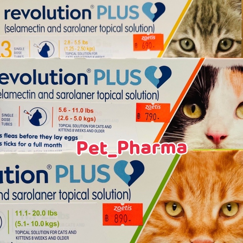 Revolution PLUS หยดหลัง แมว ป้องกัน เห็บ หมัด spot-on for cat - pet ...