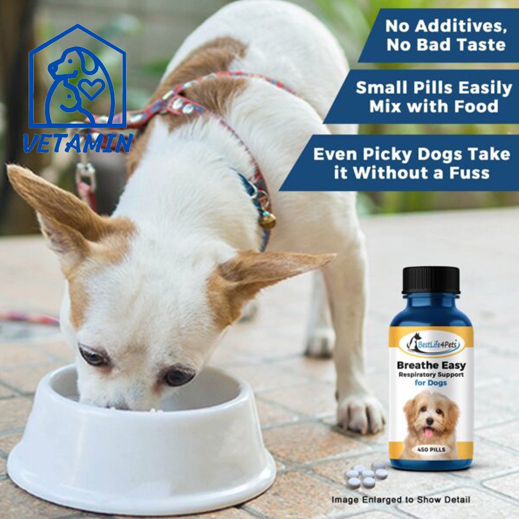 พร้อมส่ง สำหรับสุนัข ไอ จาม เป็นหวัด น้ำมูกไหล หมาหลอดลมอักเสบ Dogs ...