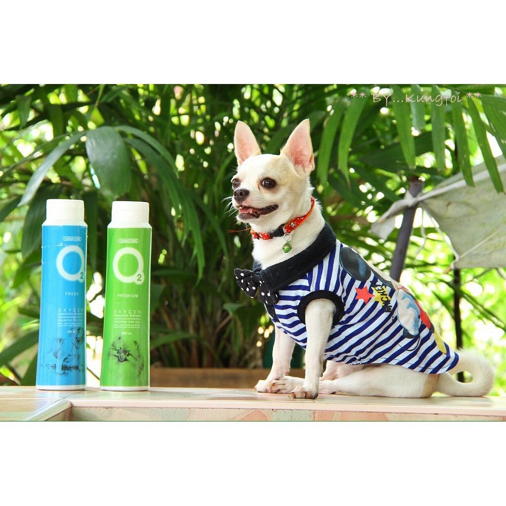 โปรแรงสุด O2 Fresh Gallon อ่อนโยนแม้ผิวแพ้ง่าย ลดฮีสโตรก ให้ความเย็น ...