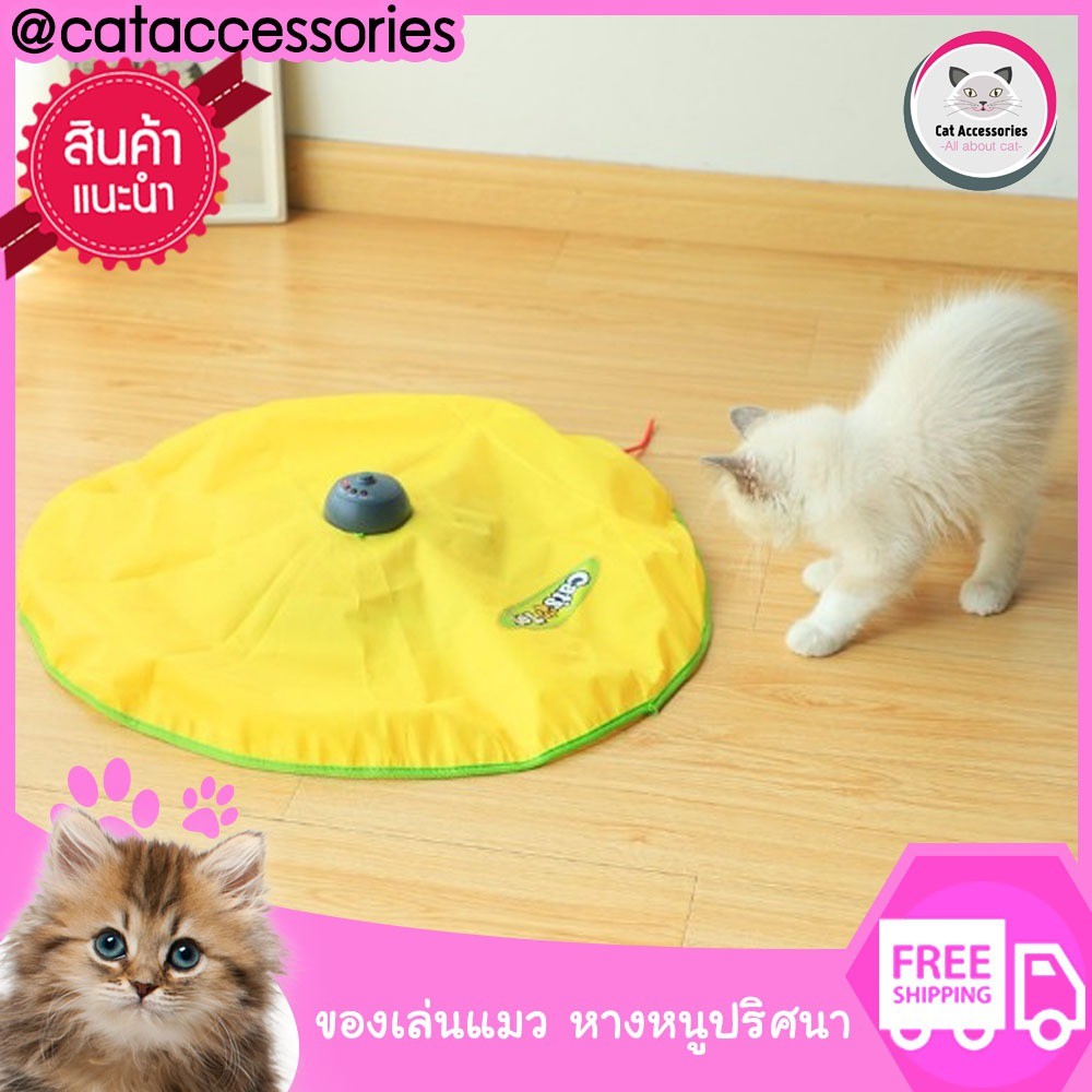 Cat Accessories CAT'S MEOW ของเล่นแมว หางหนูปริศนา ให้แมววิ่งไล่จับ ของ ...