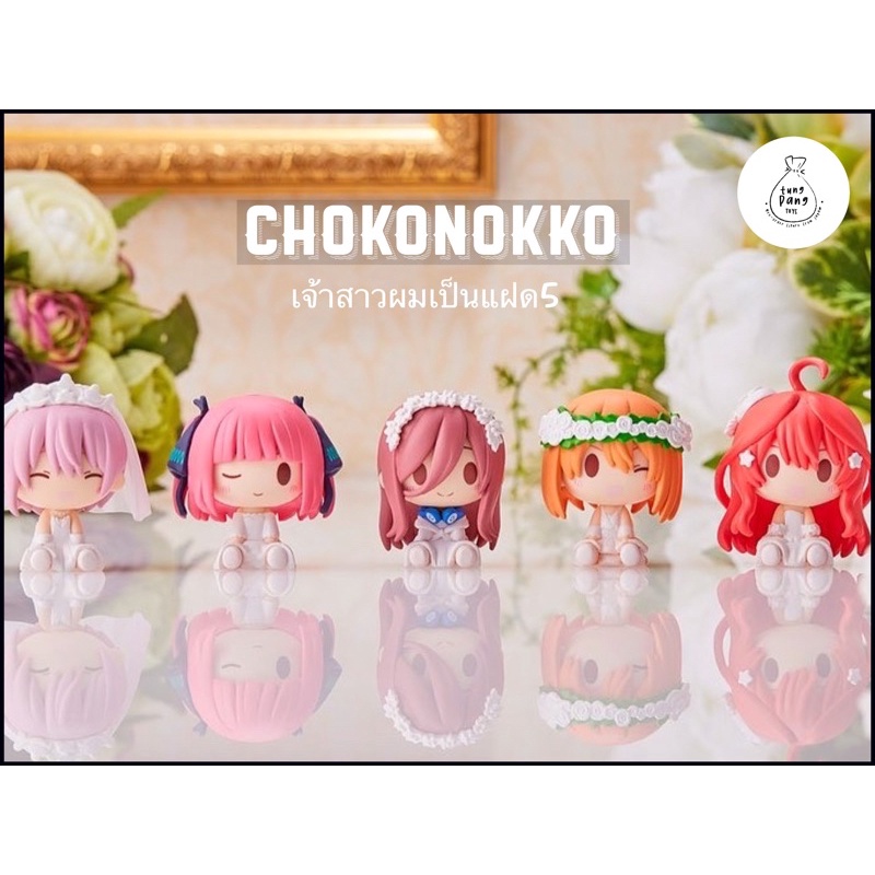 Chokonokko ถูกที่สุด พร้อมโปรโมชั่น - เม.ย. 2022 | BigGo เช็คราคาง่ายๆ