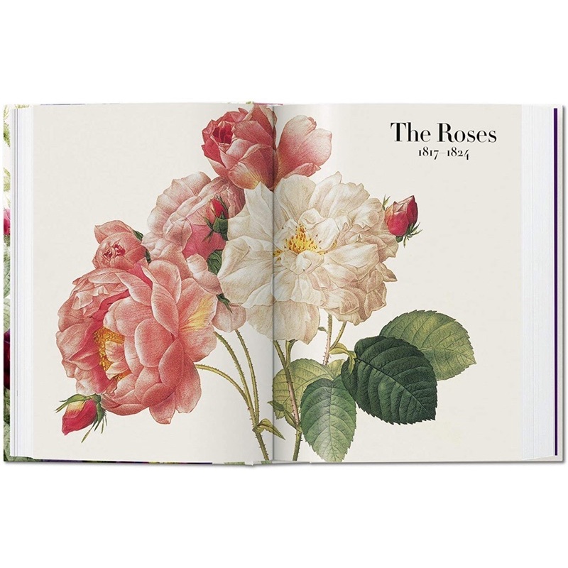REDOUTE BOOK OF FLOWERS (TASCHEN 40) - praw.07 - ThaiPick