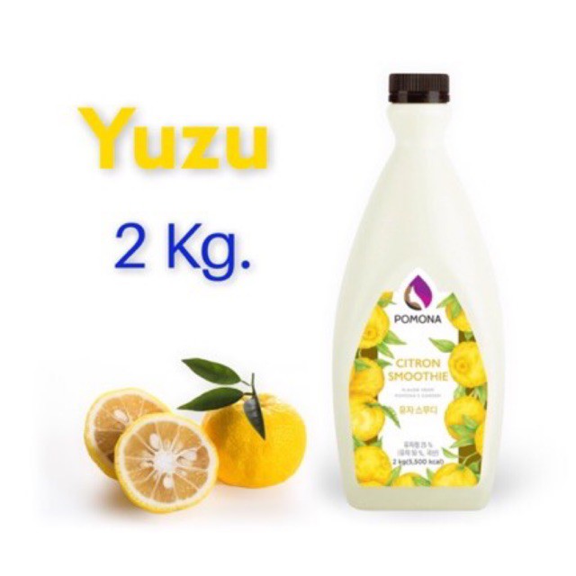 2 Kg. Yuzu Syrup ส้มยูสุ สมูทตี้ ไซรัป มีส่วนผสมของเปลือกส้มยูสุ POMONA ...