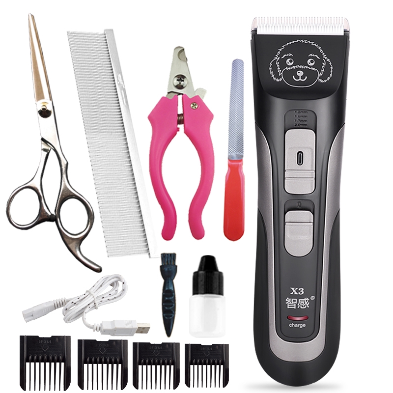 ปัตตาเลี่ยนสัตว์เลี้ยงสัตว์เลี้ยง Clipper Satsuma ปัตตาเลี่ยนสัตว์ ...