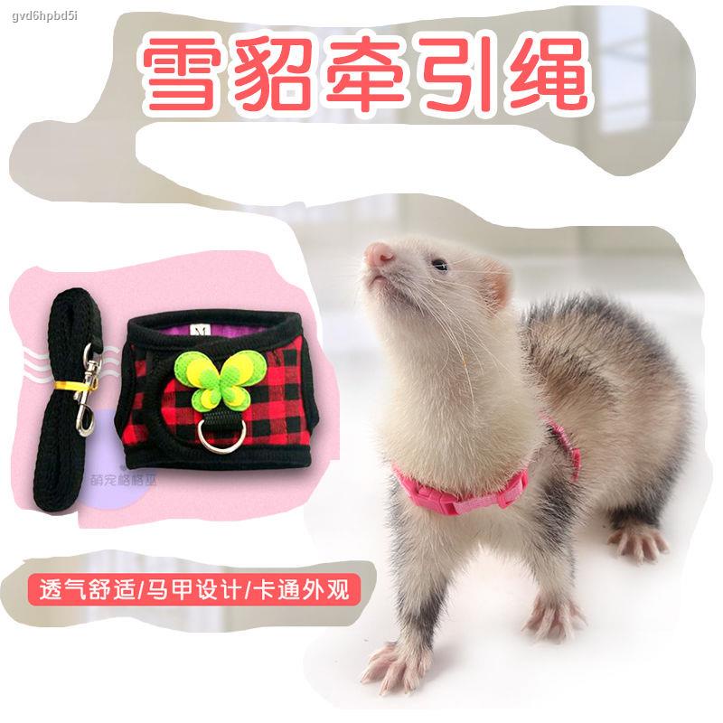 ۞สัตว์เลี้ยง mink traction rope out เชือก groundhog ferret vest out ...
