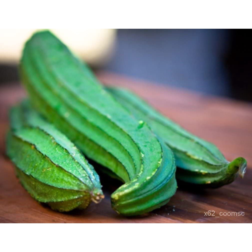 Patola 8gram 45-65 seeds Tagalog Seeds Herbs Vegetables Planting ...