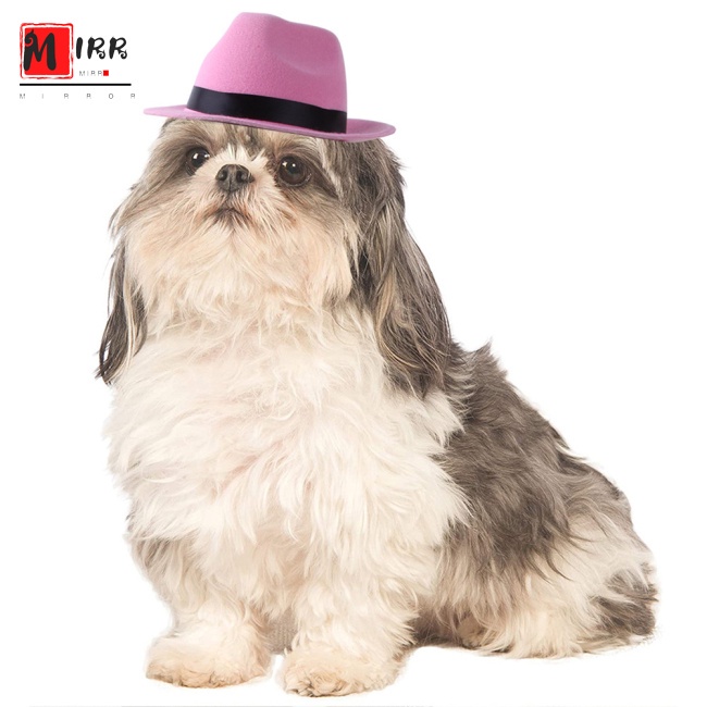 FNC Pet Dog Adjustable Hat Cat Funny Costume Performance Photo Props ...