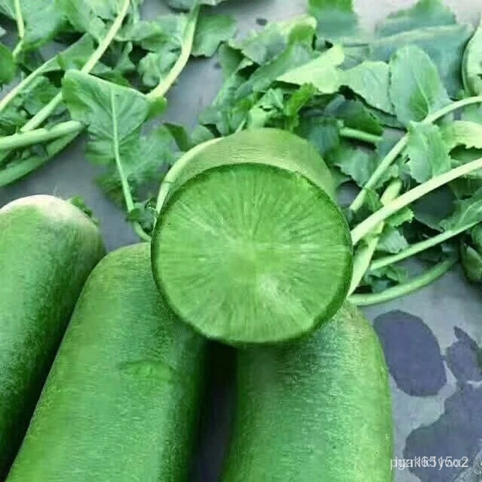 seed Rock Sugar Fruit Radish Seeds Are Eaten Raw Crisp Sweet Farm ...