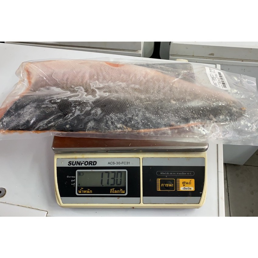 (ส่งฟรี) แซลม่อนโคโฮ COHO Fillet C-Trim แซลมอนเกรดพรีเมียม 1.1-1.3 kg ...