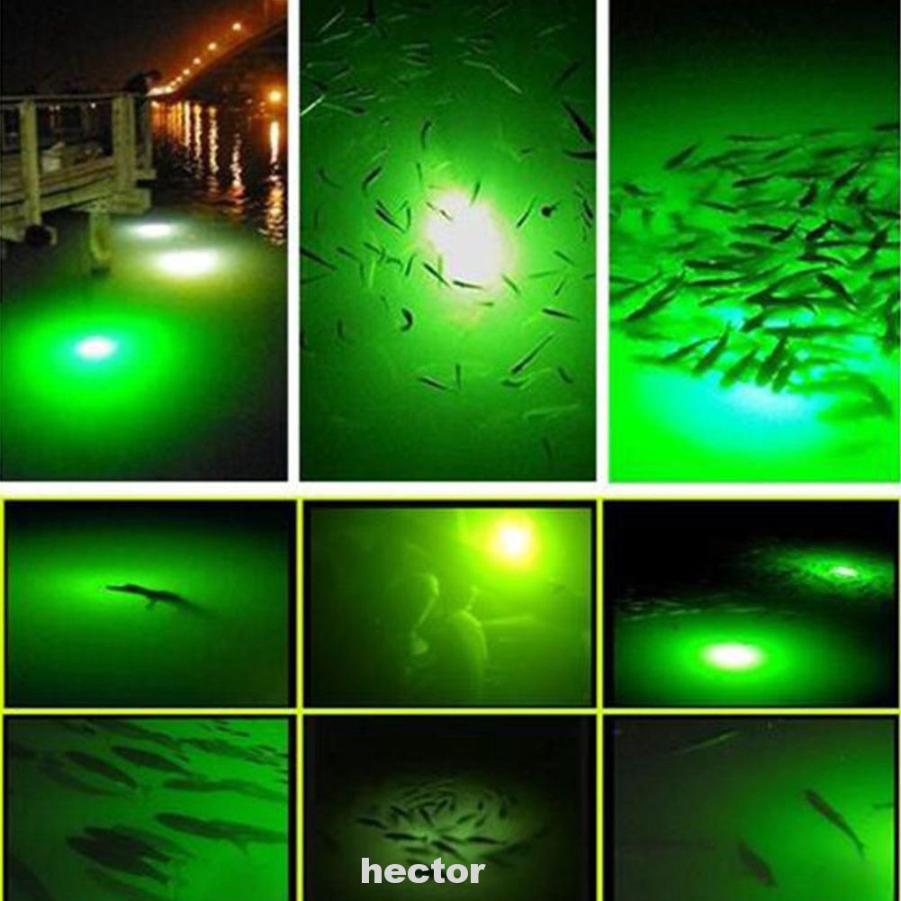 Attract Squid Double Waterproof Krill LED Underwater Night Outdoor ...