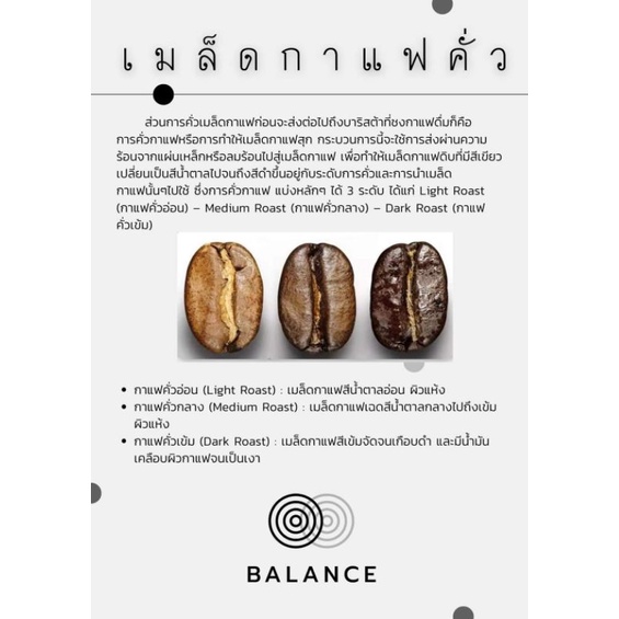 Balance Rosted Coffee Beans เมล็ดกาแฟอาราบิก้าแท้100 1กก ...