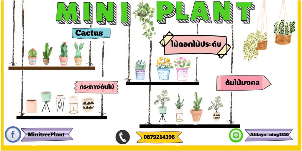 MiniPlant, ร้านค้าออนไลน์ | Shopee Thailand