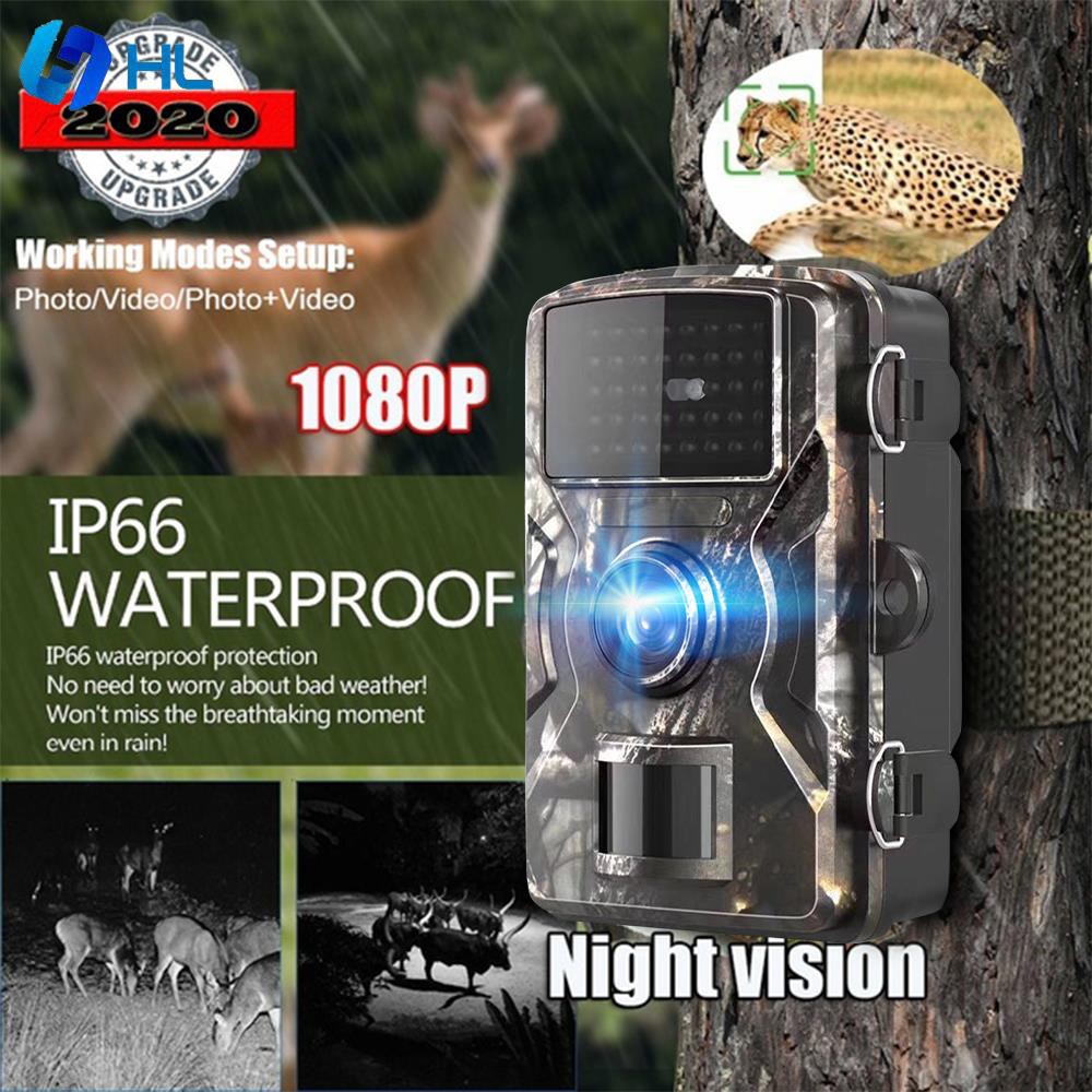 HL Scouting Camera Animal Camera Recording Video Observing Animals IR ...