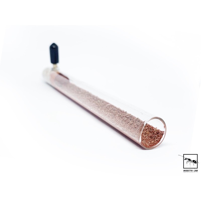 หลอดปูนทราย เติมน้ำสำหรับมด (Injection water sand tube bamboo tube ...