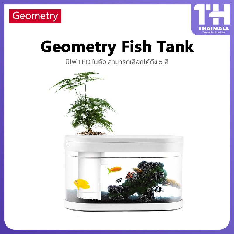 Geometry Fish Tank ตู้ปลาจำลองระบบนิเวศน์ในน้ำ Aquaponics Ecosystem ...