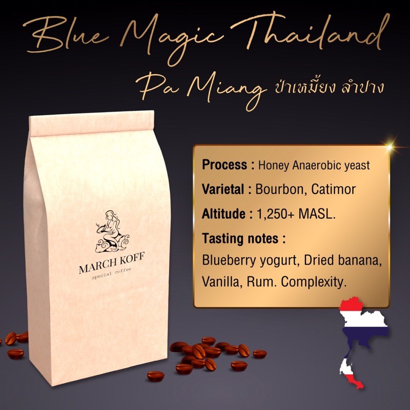Blue magic pa miang ป่าเหมี้ยง ลำปาง - marchmut - ThaiPick
