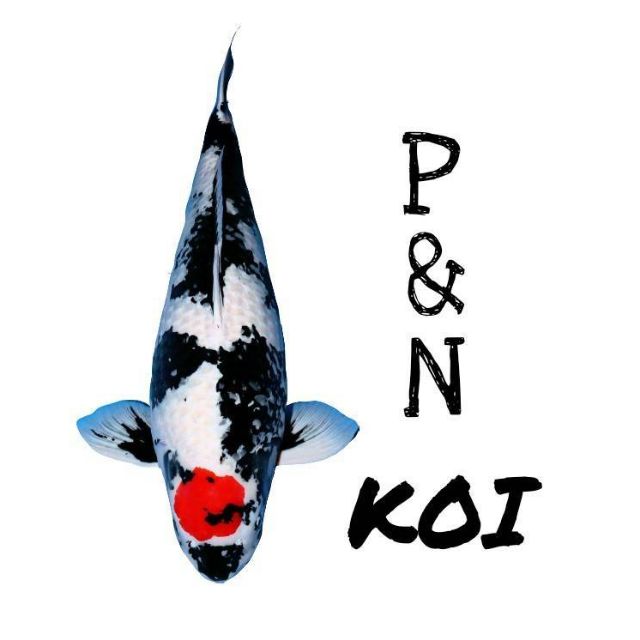 P&N KOI, ร้านค้าออนไลน์ | Shopee Thailand