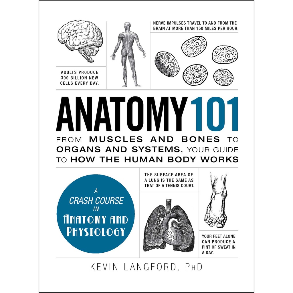Anatomy 101 : From Muscles and Bones to Organs and Systems, Your Guide ...