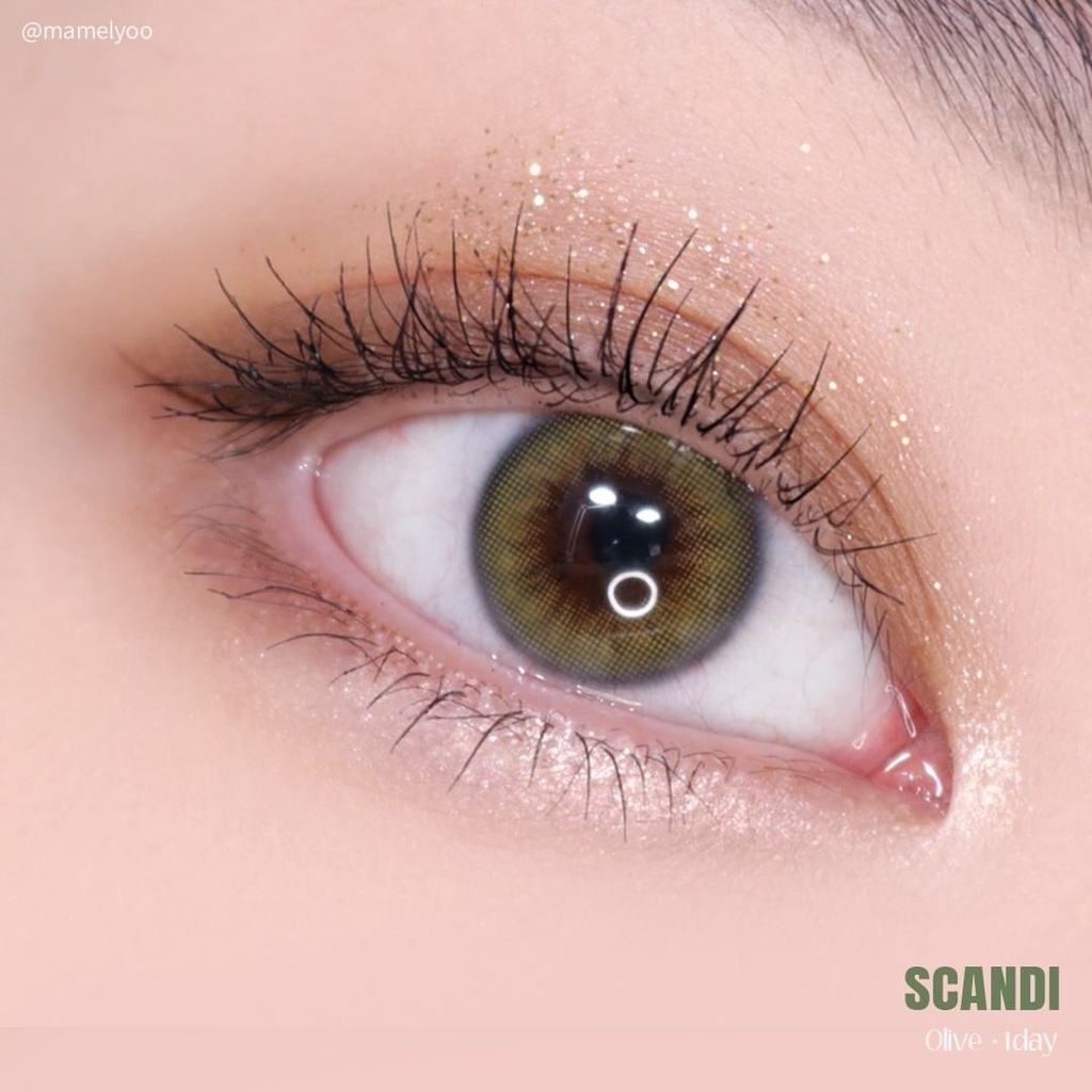 Olens รุ่น Scandi 1 Day สี Olive คอนแทคเลนส์รายวัน 5 คู่ - nanalens_official - ThaiPick