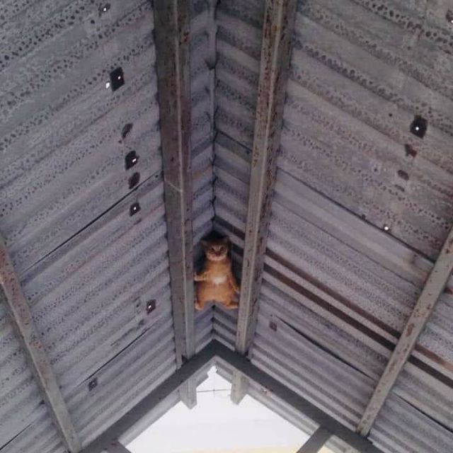 boombi_m, ร้านค้าออนไลน์ | Shopee Thailand