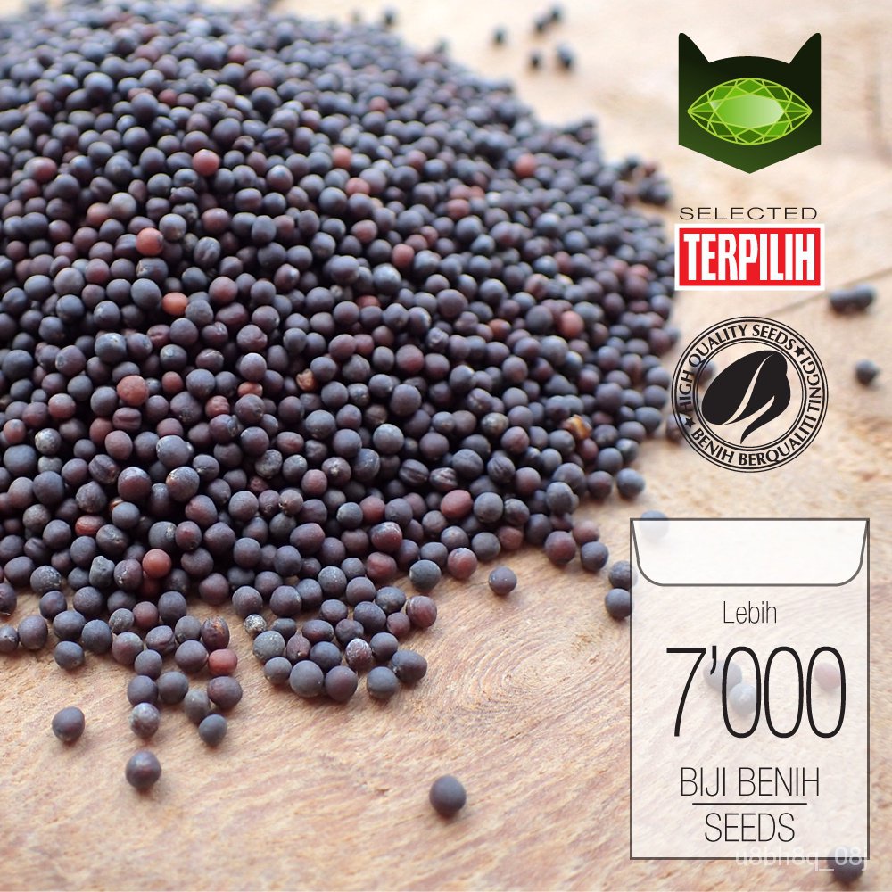 Choy Seeds Baby Nai Pak Cameron Milk Cabbage สีขาวอเบอร์ดีน -250g Fresh ...