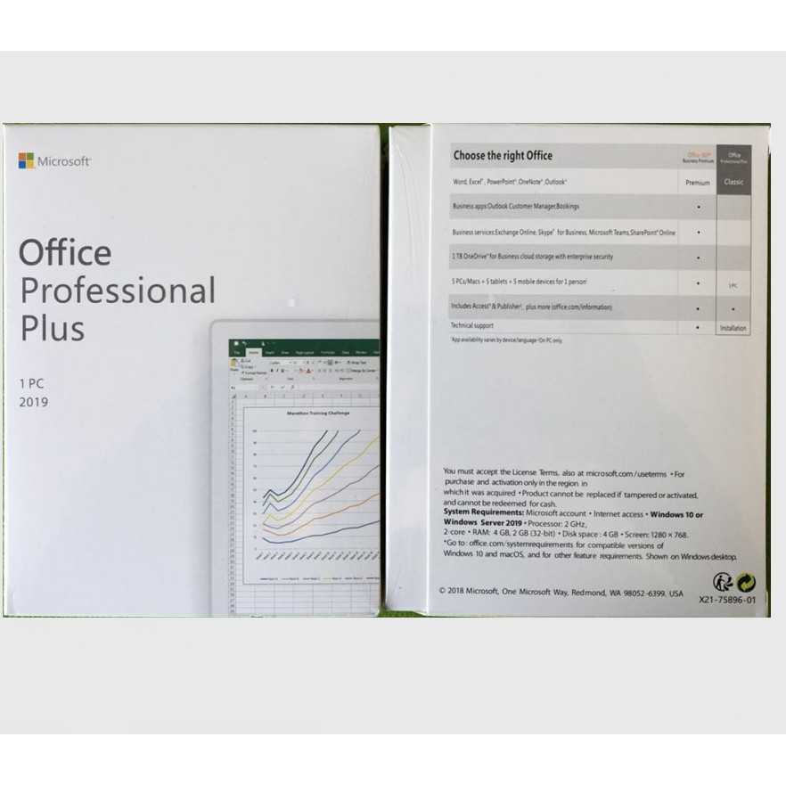 Office Professional Plus 2019 - ztreneq. - ThaiPick