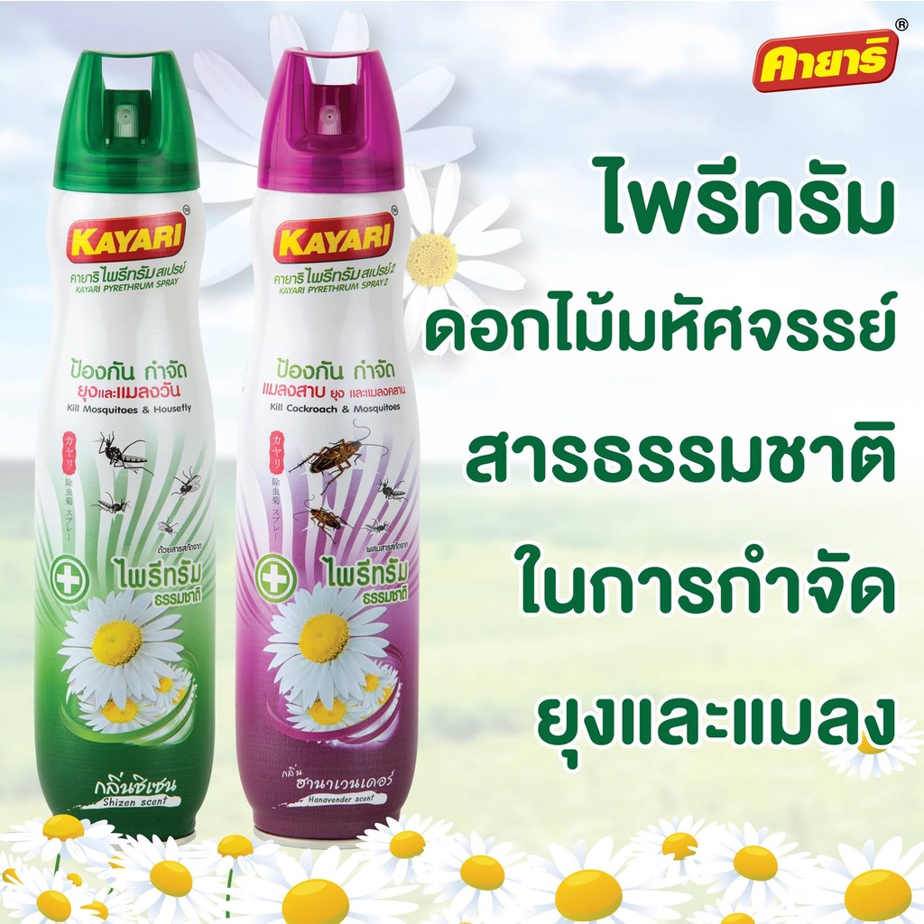 KAYARI PYRETHRUM Spray คายาริ ไพรีทรัม สเปรย์กำจัดแมลง กำจัดยุง แมลงวัน ...