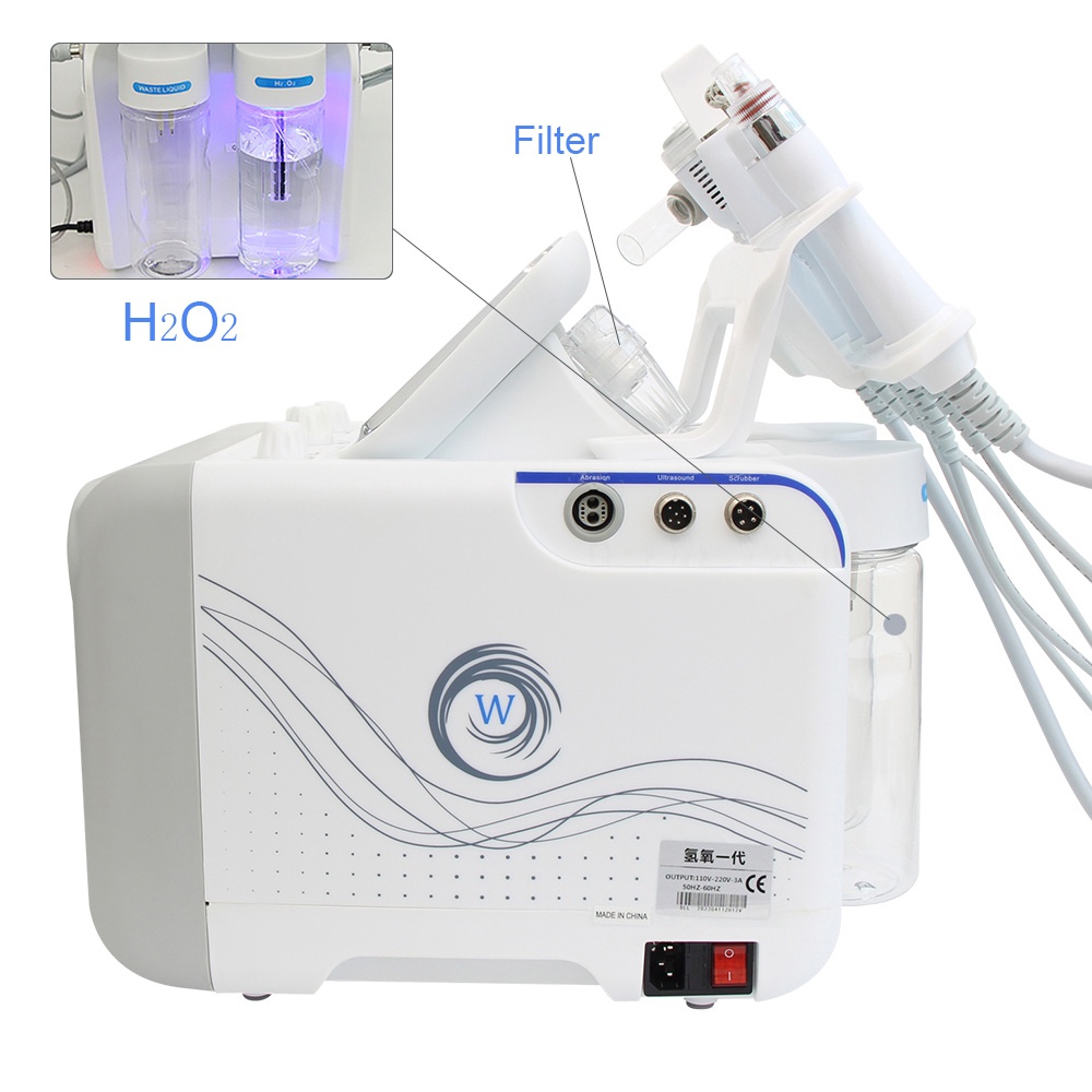 6 in 1 Hydro Oxygen Small Bubble Facial Machine Skin Cleansing Beauty ...