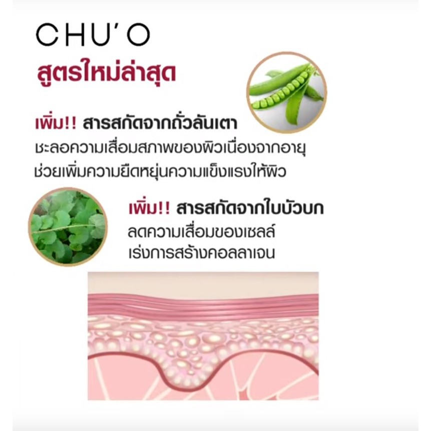 CHUO Snail Mucus Anti-Wrinkle Serum (30 ml.) CHUO Snail Mucus Intensive ...