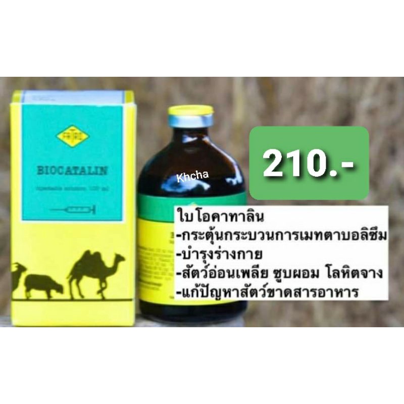 Biocatalin 100 ml. ไบโอคาทาลิน 100 มล. สำหรับสัตว์ - pukan_pp - ThaiPick