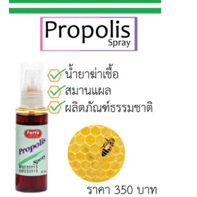 FORTE PROPOLIS SPRAY พรอพ์โปลิส เปรย์ พร้อมส่ง | Shopee Thailand