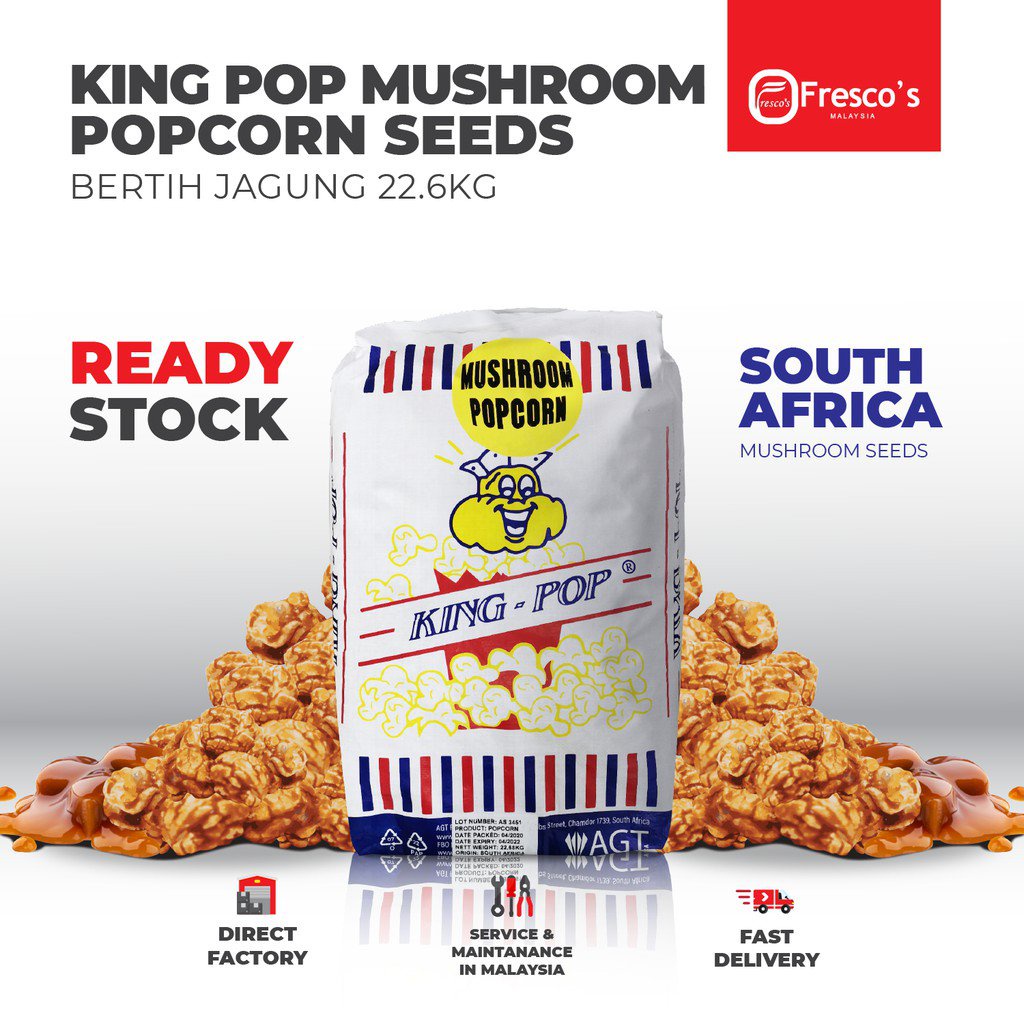 Popcorn Seed Mushroom Bertih Jagung Bertih Jagung Popcorn seeds 1qAm ...