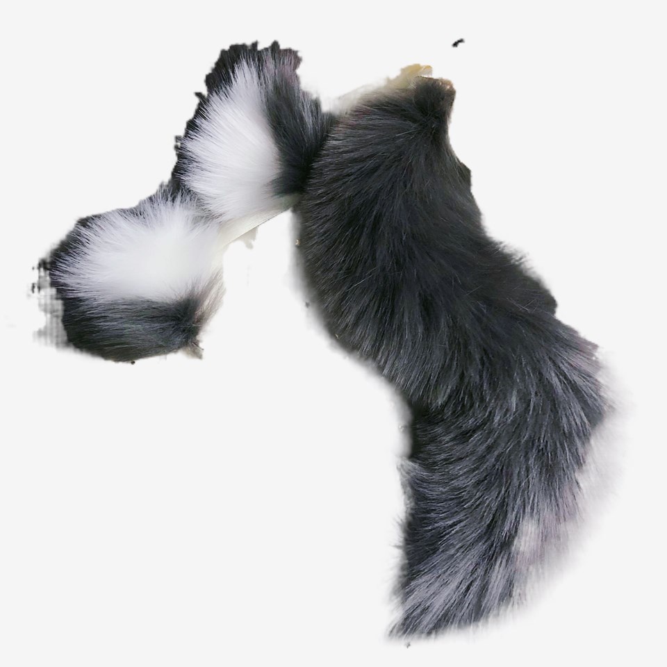 หางแมวเสียบ ถูกที่สุด พร้อมโปรโมชั่น - พ.ย. 2021 | BigGo เช็คราคาง่ายๆ