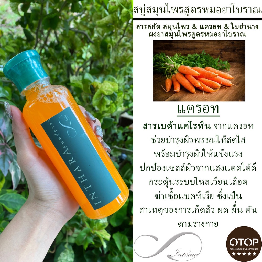 รับประกันสบู่เหลวสูตรหมอยา-โบราณ รักษาสิวหลัง-หน้าอก ผดผื่นคันตาม ...