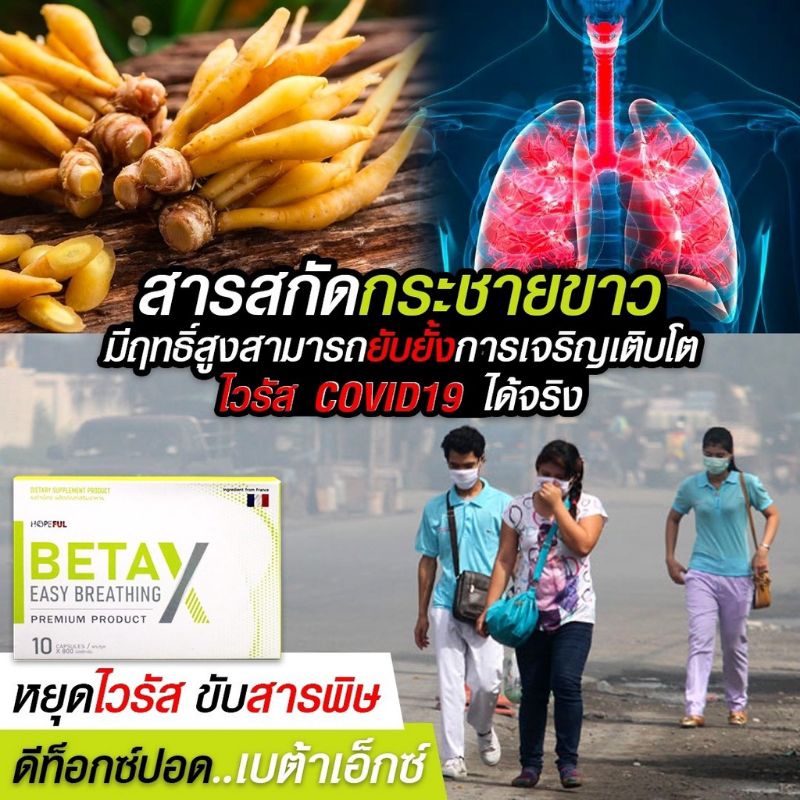 เบต้าเอ็กซ์ BATAX อาหารเสริมฟื้นฟูปอด 1ล่อง10เม็ด - pnp8goldjfood ...